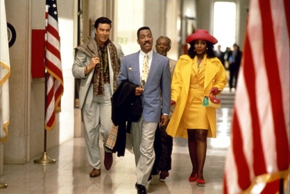 The Distinguished Gentleman (movie, 1992)