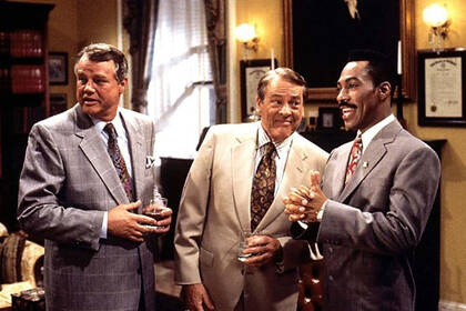 The Distinguished Gentleman (movie, 1992)