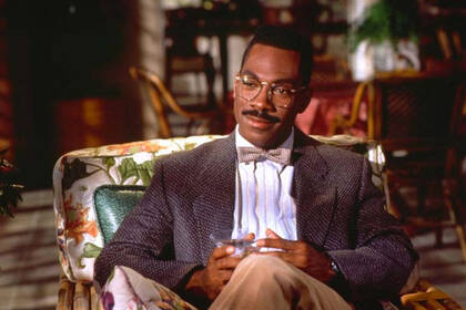 The Distinguished Gentleman (movie, 1992)