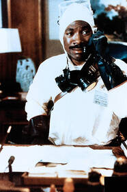 The Distinguished Gentleman (movie, 1992)