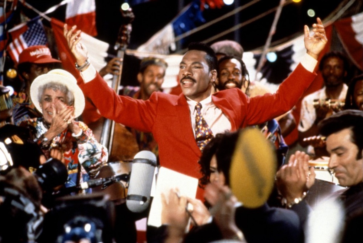 The Distinguished Gentleman (movie, 1992)