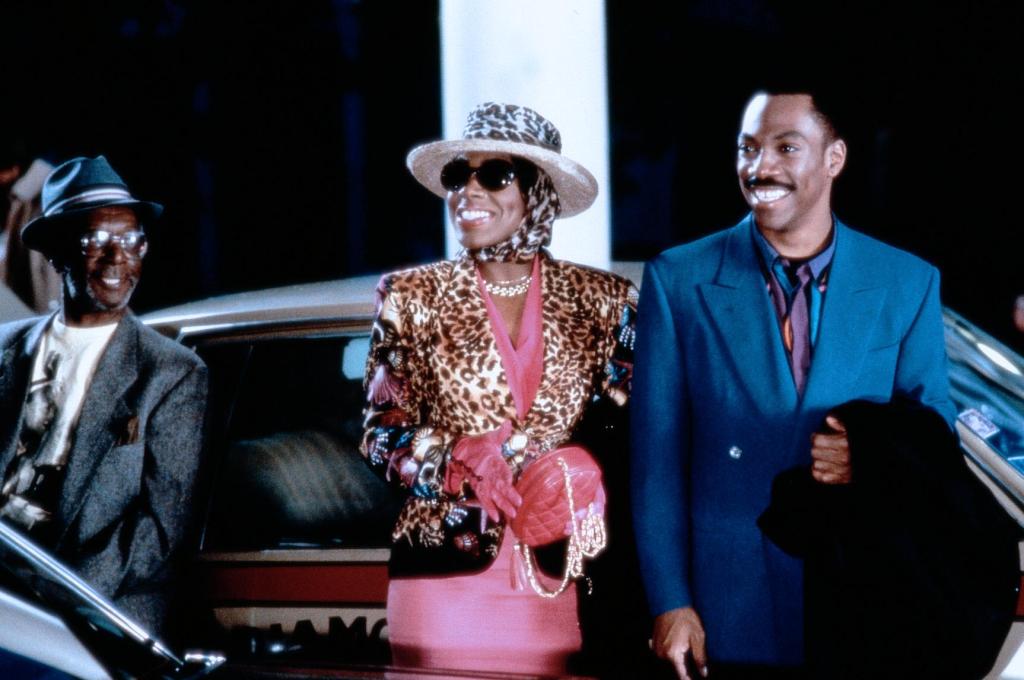 The Distinguished Gentleman (movie, 1992)