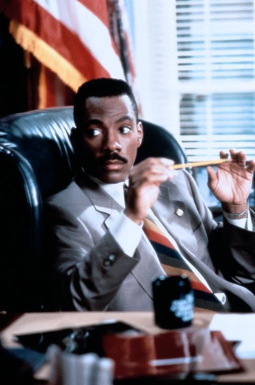 The Distinguished Gentleman (movie, 1992)