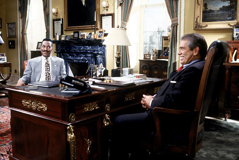 The Distinguished Gentleman (movie, 1992)