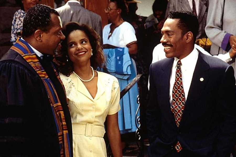 The Distinguished Gentleman (movie, 1992)