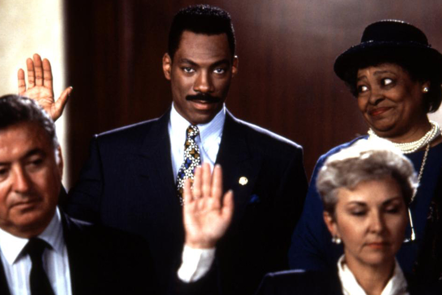 The Distinguished Gentleman (movie, 1992)