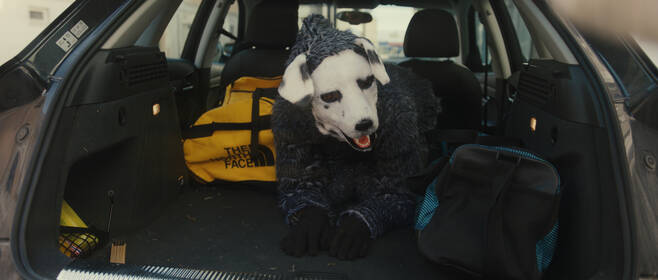 Screenshots - Good Boy