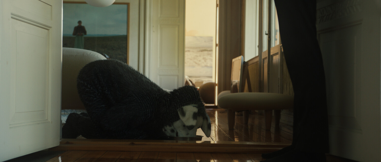 Good Boy (movie, 2022)