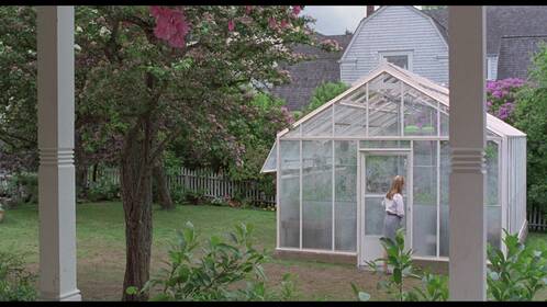 The Hand That Rocks the Cradle (movie, 1992)