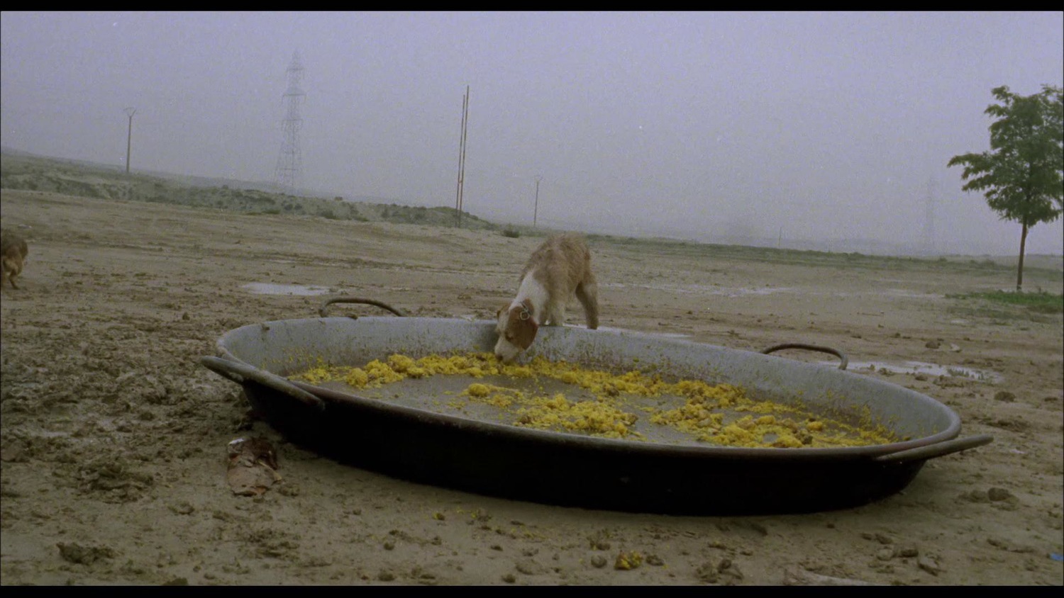 Jamón, Jamón (movie, 1992)