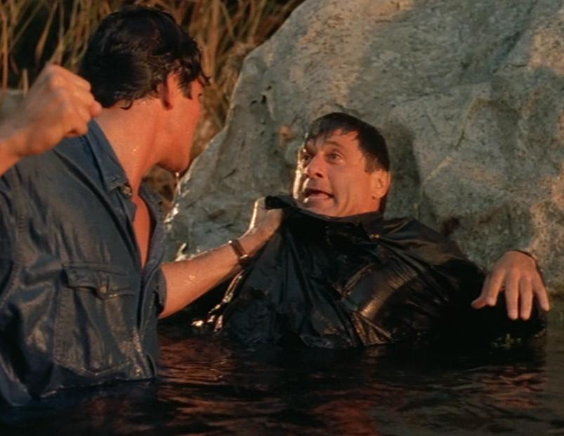 Terence Knox - actor - biography, photo, best movies and TV shows