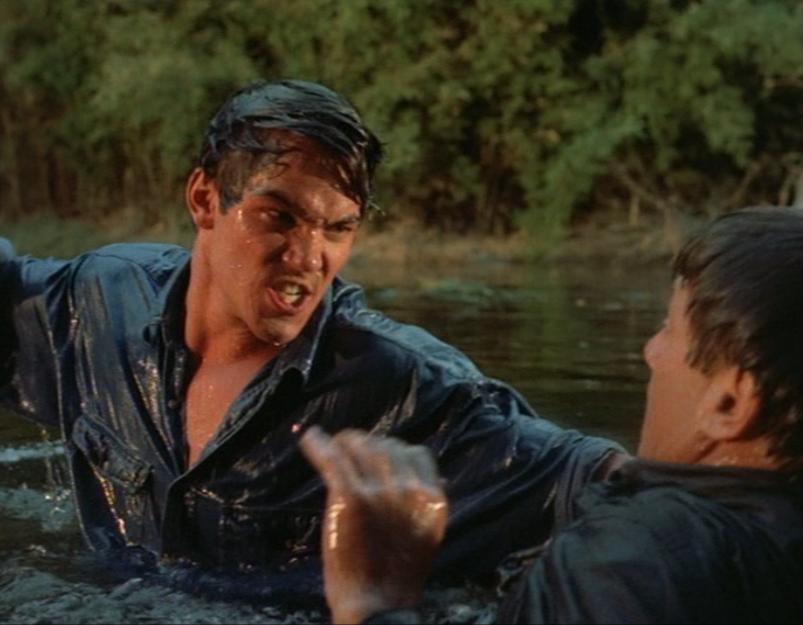 Terence Knox - actor - biography, photo, best movies and TV shows