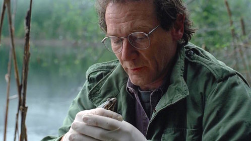 Timothy Webber - actor - biography, photo, best movies and TV shows