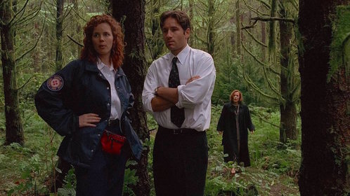 Colleen Flynn - actress - biography, photo, best movies and TV shows