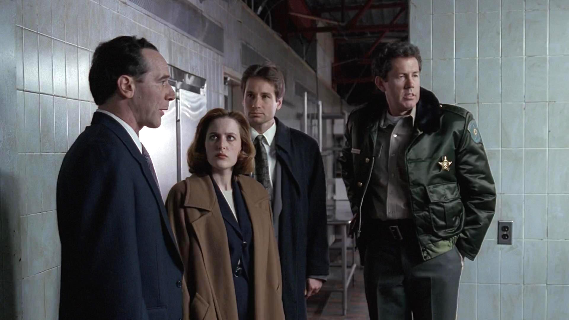 Timothy Webber - actor - biography, photo, best movies and TV shows