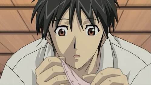 Yama Hime no Mi (mini-series, 2007 – 2010)