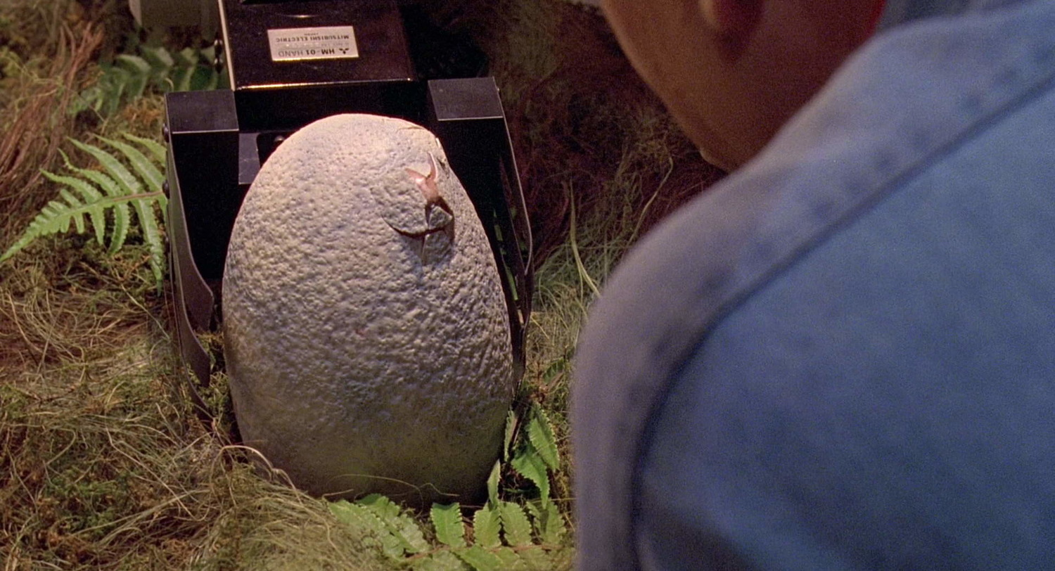 Screenshots - Jurassic Park