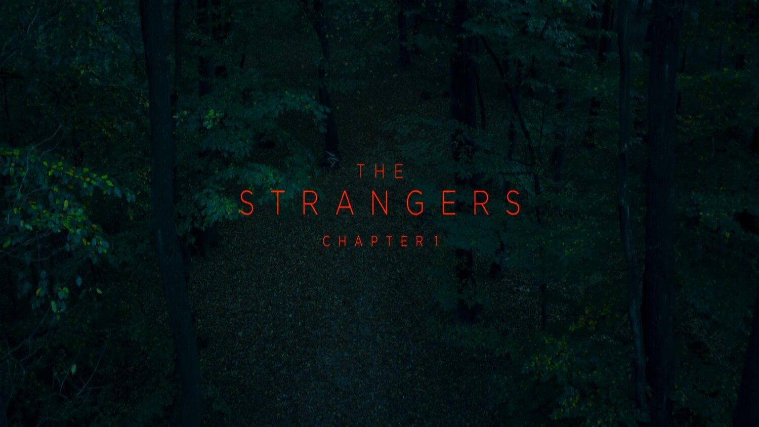 The Strangers: Chapter 1 (movie, 2024)