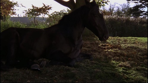 Black Beauty (movie, 1994)