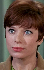 Cast - Matlock (1986 – 1995)