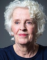 Cast - The Fall (2013 – 2016)