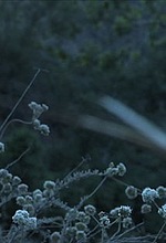 Cast - Game Changer (2019 – ...)