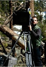 Cast - Me, Myself & Irene (2000)