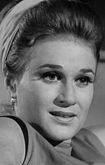 Cast - The Fugitive (1963 – 1967)