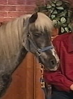 Cast - The Jerry Springer Show (1991 – 2018)