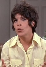 Cast - Room 222 (1969 – 1974)