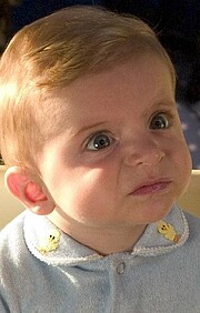 Ryan Falconer - actor - biography, photo, best movies and TV shows