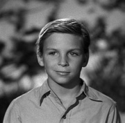 Billy Chapin - actor - biography, photo, best movies and TV shows