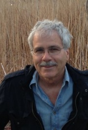 Tom Nardini - actor - biography, photo, best movies and TV shows