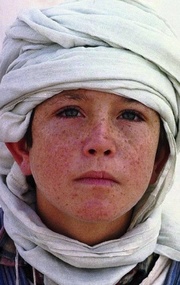 Kelly Reno - actor - biography, photo, best movies and TV shows