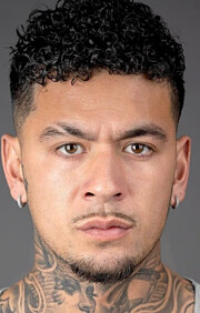 Shaun Pelayo - actor - biography, photo, best movies and TV shows