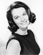 Joyce Taylor - actress - biography, photo, best movies and TV shows