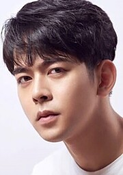 Nguyen Ba Vinh - actor - biography, photo, best movies and TV shows