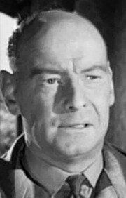 John Welsh - actor - biography, photo, best movies and TV shows