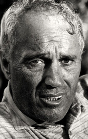 Robert J. Wilke - actor, producer