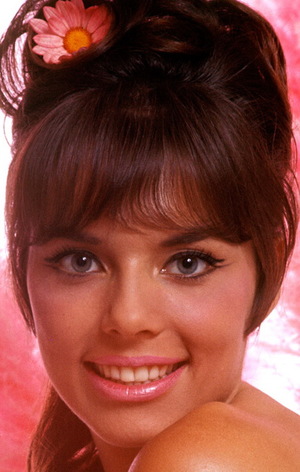 Jo Collins - actress - biography, photo, best movies and TV shows