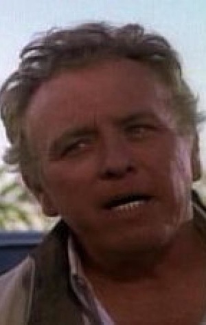 Tony Epper - actor - biography, photo, best movies and TV shows