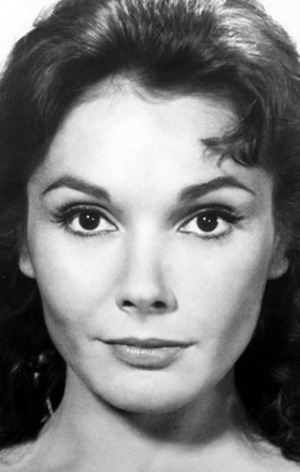 Felicia Farr - actress - biography, photo, best movies and TV shows