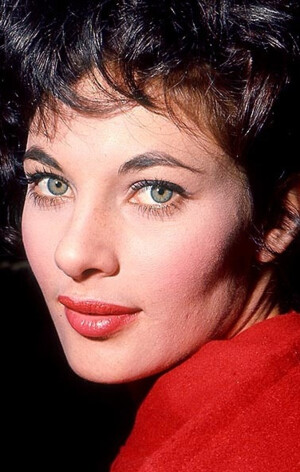 Carole Gray - actress - biography, photo, best movies and TV shows