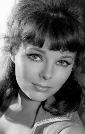 Anne Helm - actress - biography, photo, best movies and TV shows