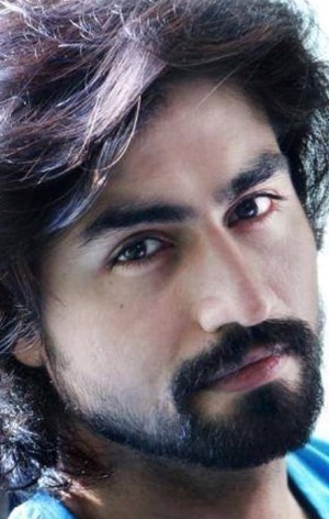Harshad Chopda - actor - biography, photo, best movies and TV shows