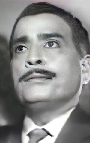 Raj Mehra - actor - biography, photo, best movies and TV shows