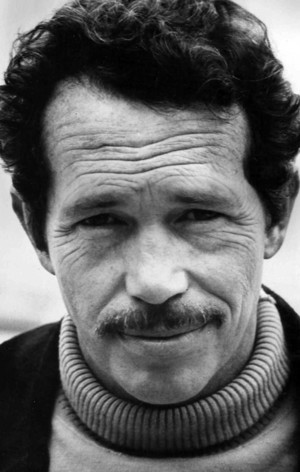 Warren Oates - actor - biography, photo, best movies and TV shows