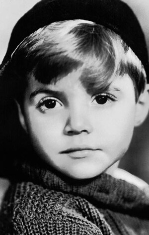 Scotty Beckett - actor - biography, photo, best movies and TV shows