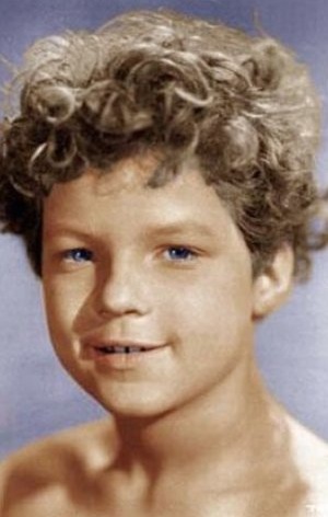 Johnny Sheffield - actor - biography, photo, best movies and TV shows