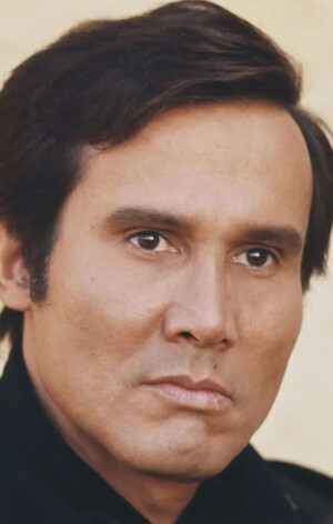 Henry Silva - actor - biography, photo, best movies and TV shows